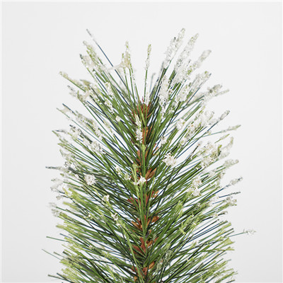 Different leaf classifications of Christmas trees: | christmas ...